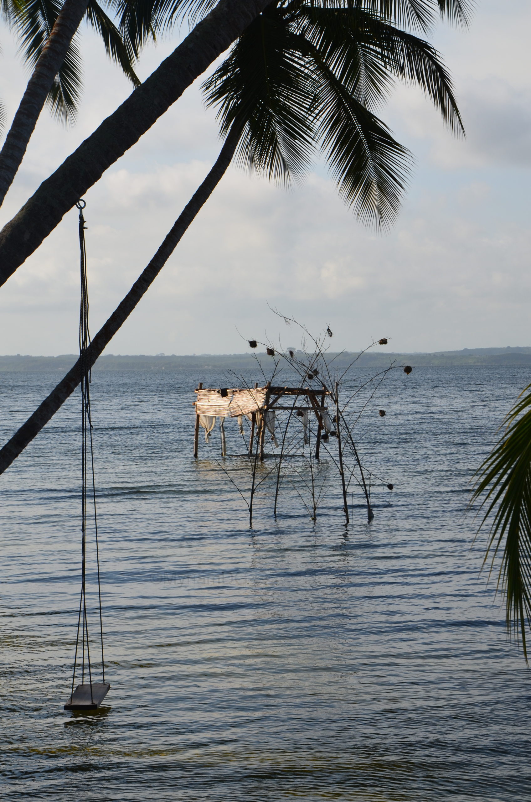 jacqueville-cote-d-ivoire (261) – Les voyages de Myriam
