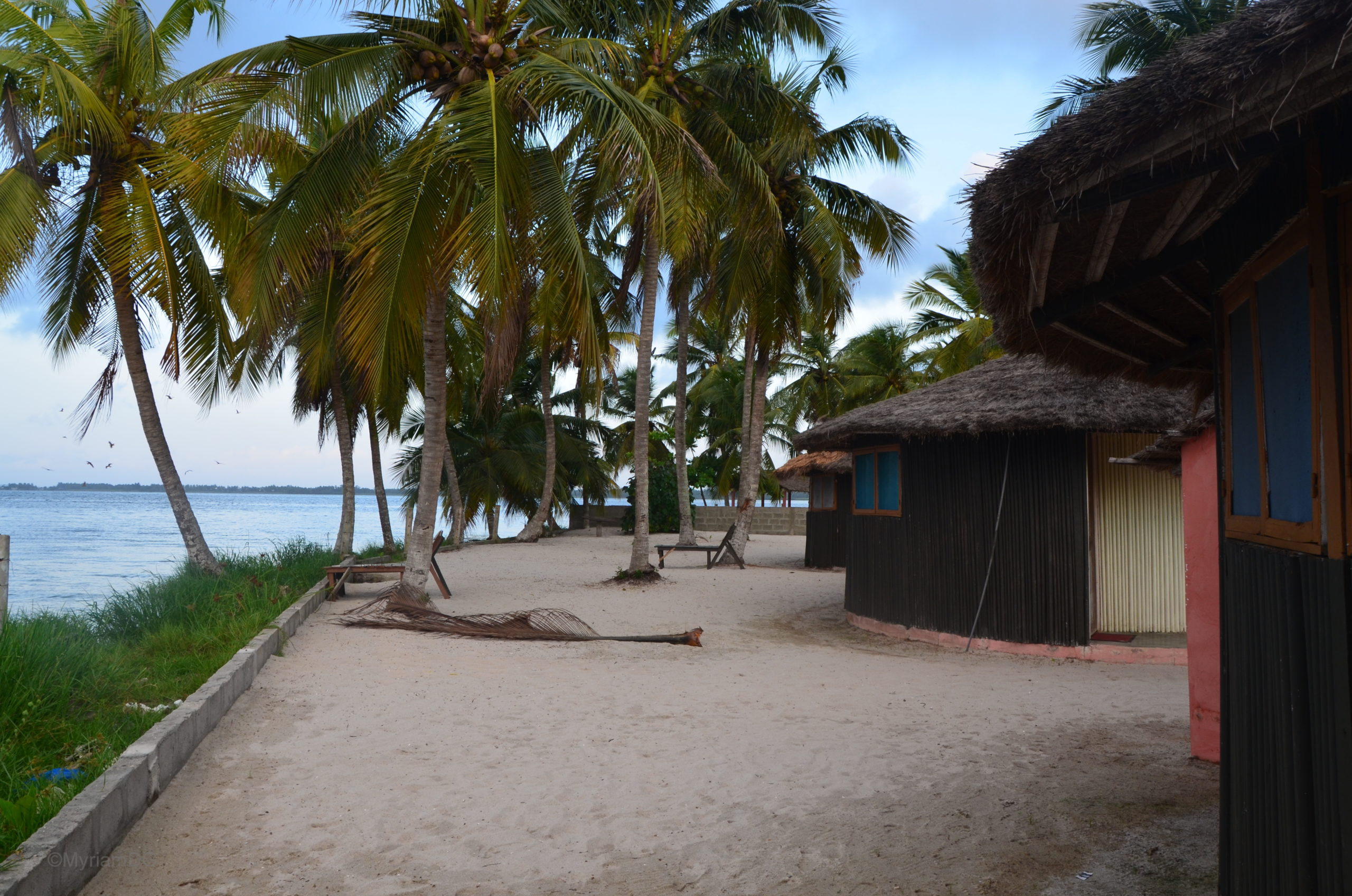 jacqueville-cote-d-ivoire (291) – Les voyages de Myriam