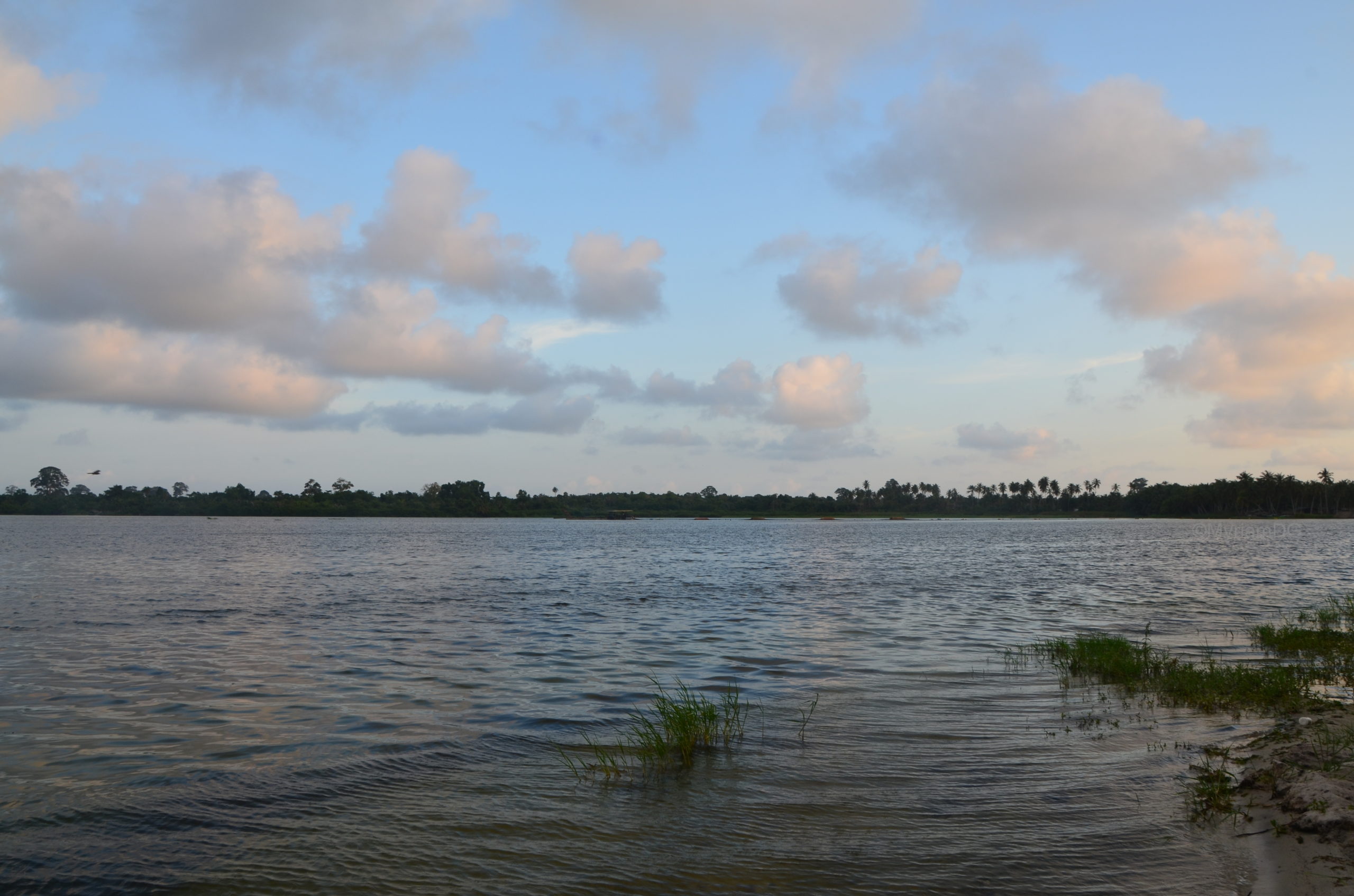 jacqueville-cote-d-ivoire (294) – Les voyages de Myriam