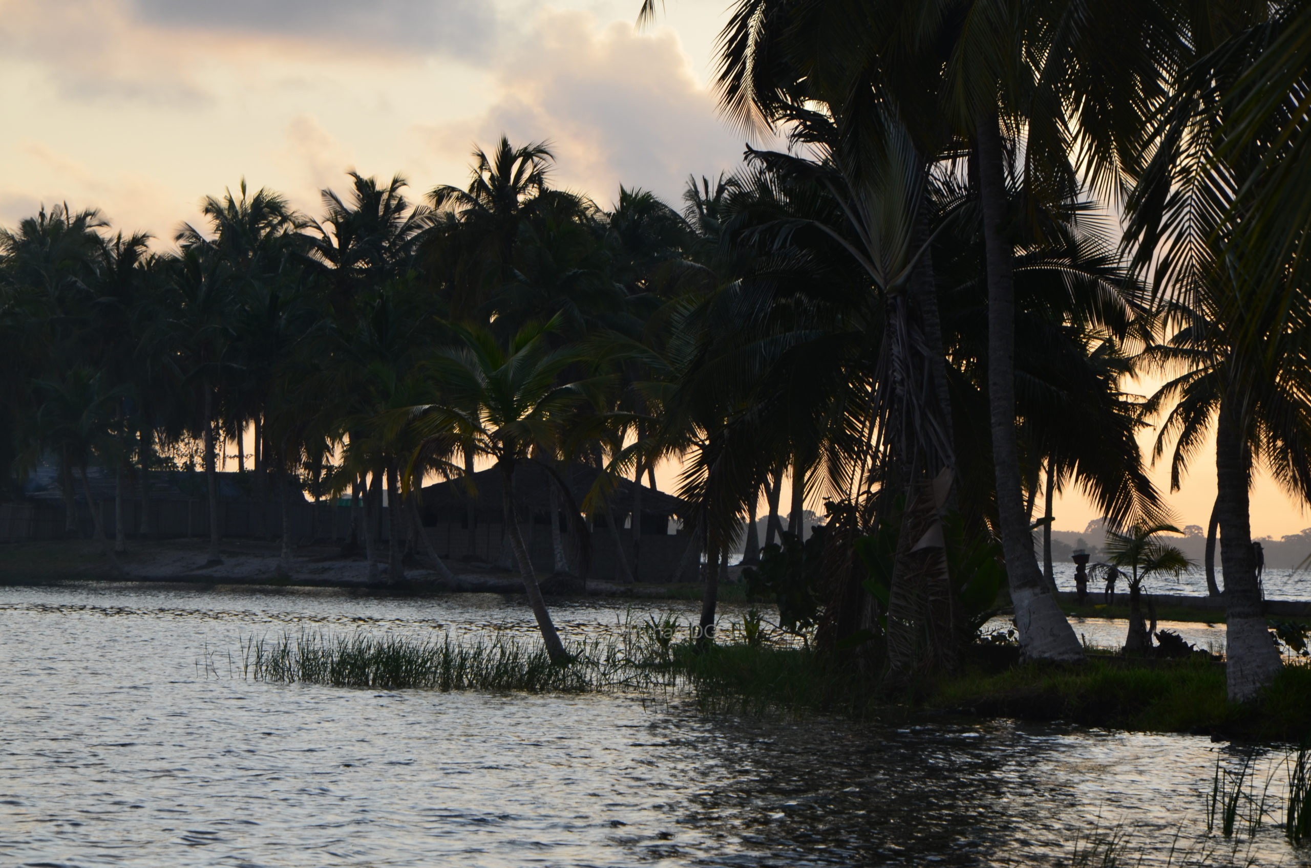 jacqueville-cote-d-ivoire (298) – Les voyages de Myriam
